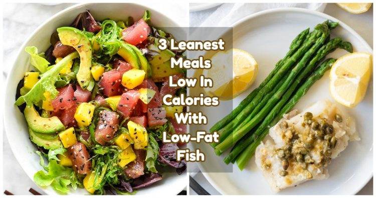 3 Leanest Meals Low In Calories With Low-Fat Fish