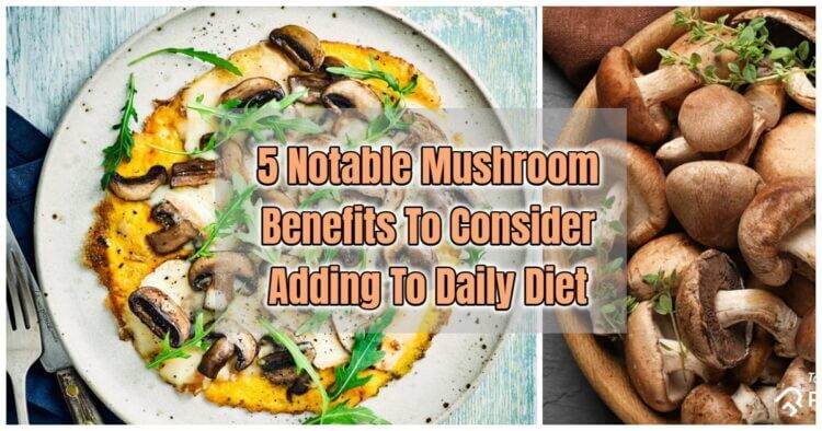 5 Notable Mushroom Benefits To Consider Adding To Daily Diet